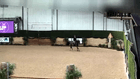 $350 Performance Hunter 3'3" - World Equestrian Center Winter Classic ...