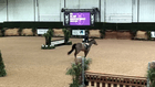 $350 Performance Hunter 3'3" - World Equestrian Center Winter Classic ...