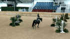 USHJA Hunter 2'6" (163/164) /Baby Green Hunter 2'6" - World Equestrian ...