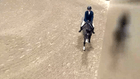 USHJA Hunter 2'9" /USHJA Hunter 2'9" - World Equestrian Center Winter ...