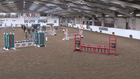 Senior British Novice Championship - First Round / Senior 90cm Open ...