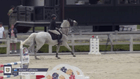 Horse 1.15m Table A. One round with immediate jump off (238.2.2 ...