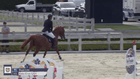 Horse 1.15m Table A. One round with immediate jump off (238.2.2 ...