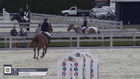 Horse 1.15m Table A. One round with immediate jump off (238.2.2 ...