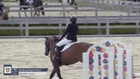 Horse 1.15m Table A. One round with immediate jump off (238.2.2 ...