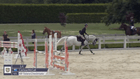 Horse 1.15m Table A. One round with immediate jump off (238.2.2 ...