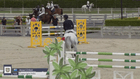 Horse 1.35m Table A. One round with immediate jump off (238.2.2 ...
