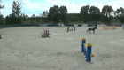 Nyitott vrsz (időre) 130cm - [ Jumping competition 130cm] - Airvent ...