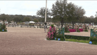 $2,500 USHJA Amateur National Hunter Derby - HITS Ocala Tournament ...
