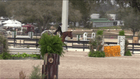$2,500 USHJA Amateur National Hunter Derby - HITS Ocala Tournament ...