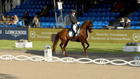 Deutsche Meisterschaften Dressur Grand Prix Kür U25 2026 Preis der ...