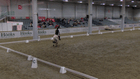 Ferd Comeback Cup LC:3 B-Final - Norwegian Horse Festival Lillestrøm ...