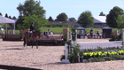 JUNIOR HUNTER U/S - Traverse City Spring Horse Show Week II - 2020 ...